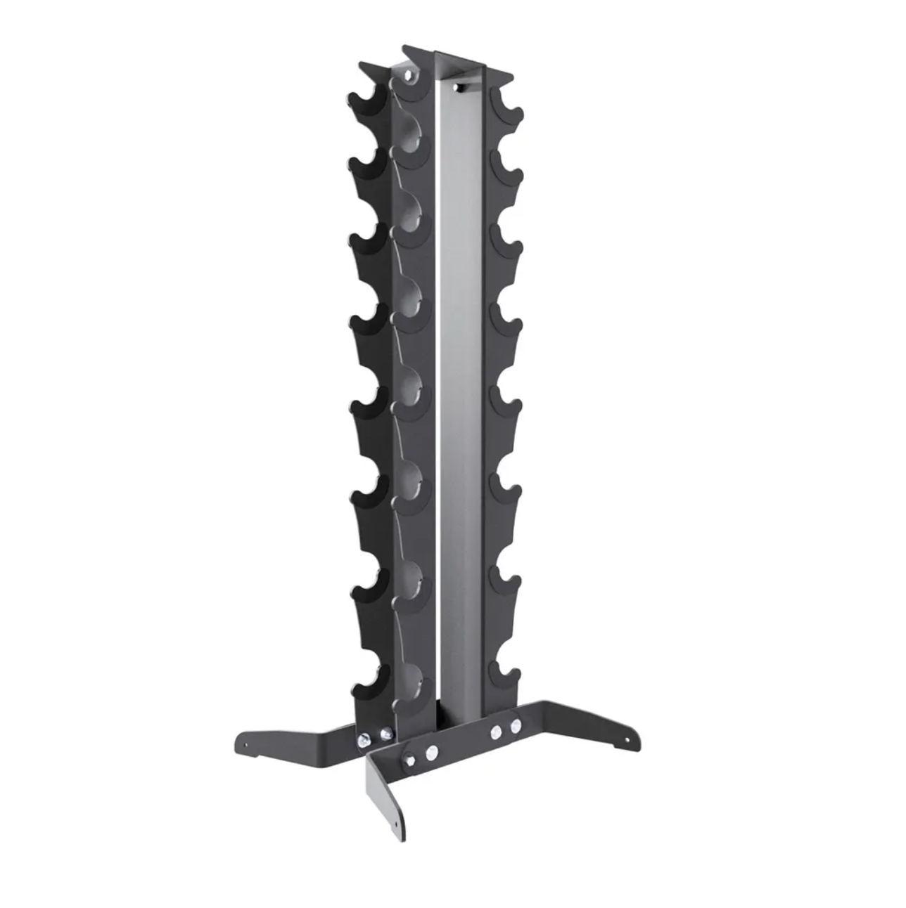 Support d'haltères vertical pour 8 paires Northern Lights | Fitness ...